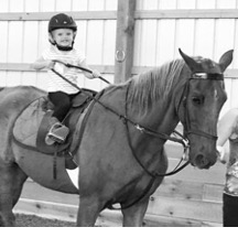 Riding Lessons – Trinity Farm