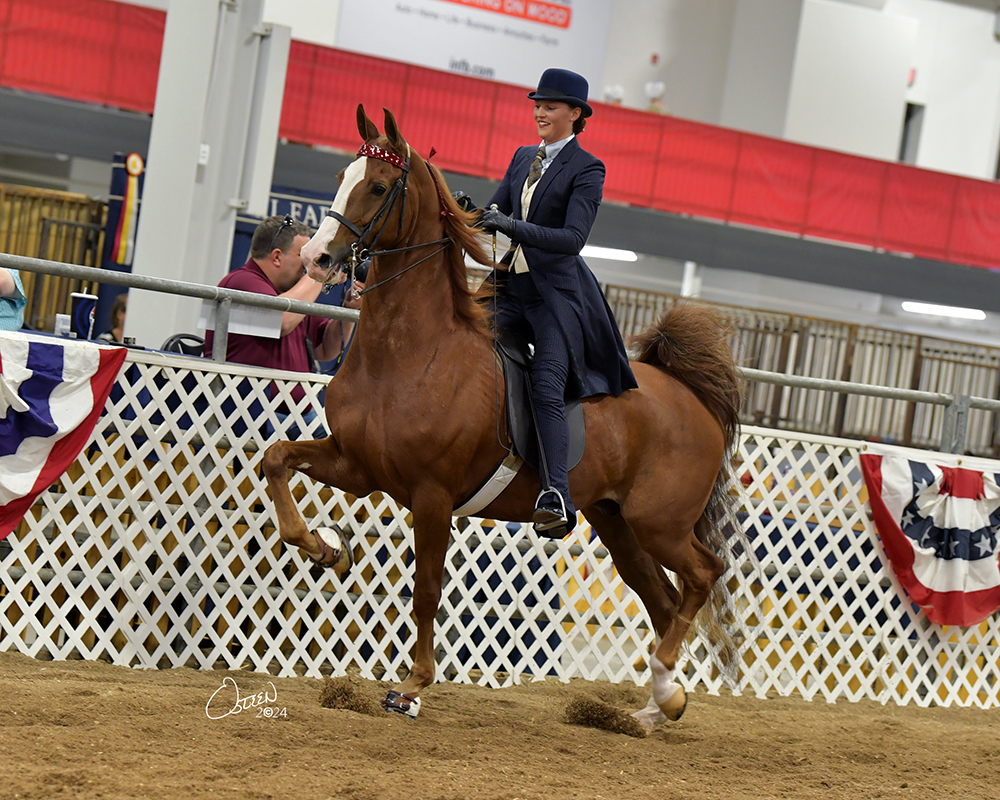 What is Saddle Seat Riding? – Trinity Farm